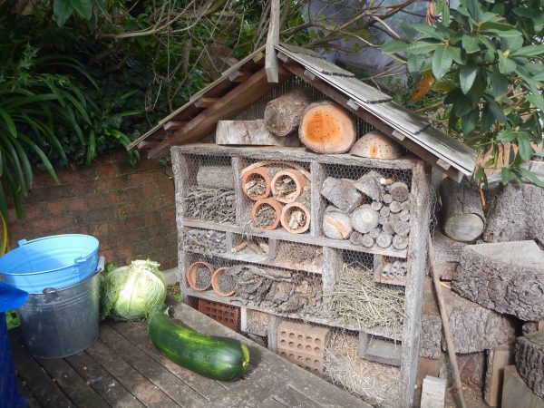 Insect Hotels – Sydney Edible Garden Trail