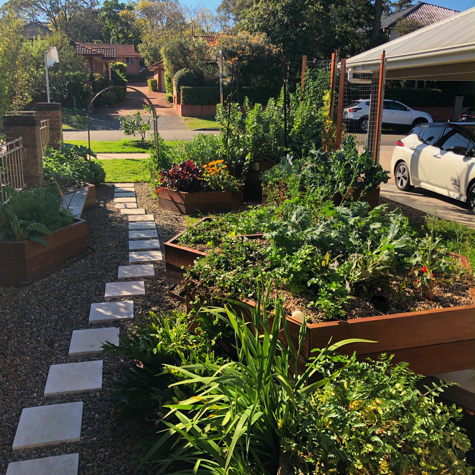 Lane Cove Council Gardens – Sydney Edible Garden Trail